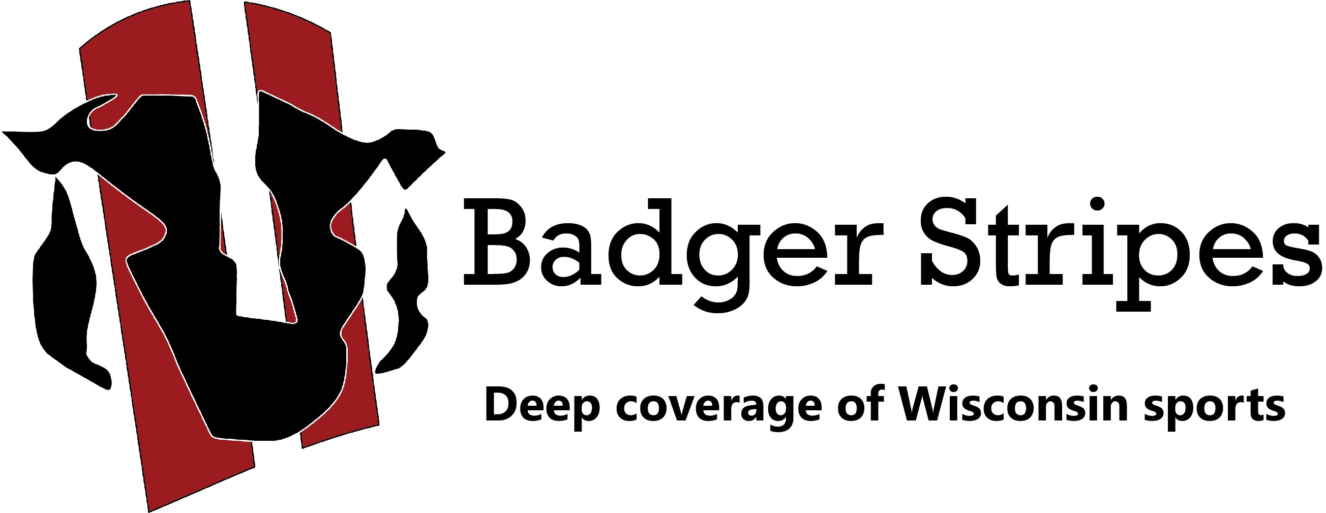 Four officers fired, forced out from policing back on job in NW Wisconsin